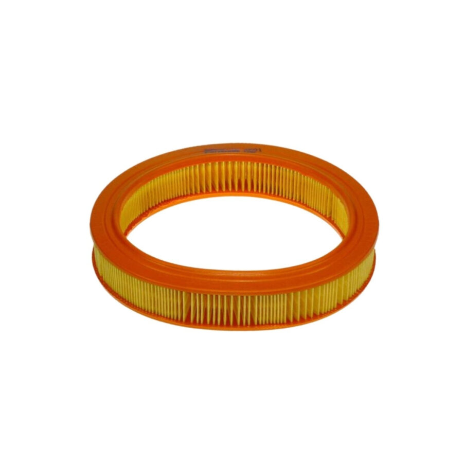 Filtre à air PURFLUX A521 - Norauto