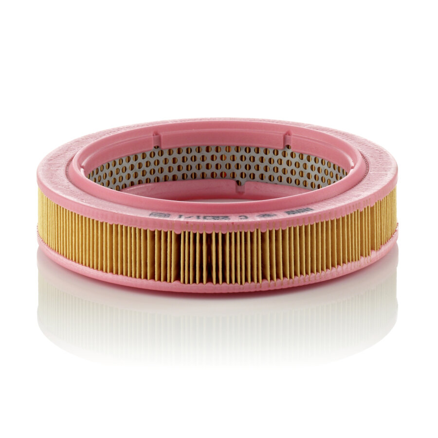 Filtre à air MANN-FILTER C2231/1 - Norauto