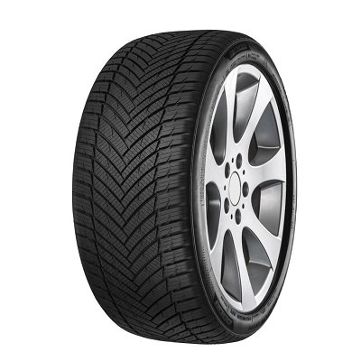 Pneu MINERVA ALL SEASON MASTER 245/45 R19 102 Y XL - Norauto