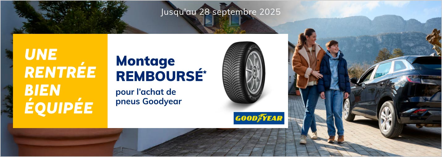 Pneu pour Renault Twingo III : Taille, Prix et Dimensions compatibles - Norauto