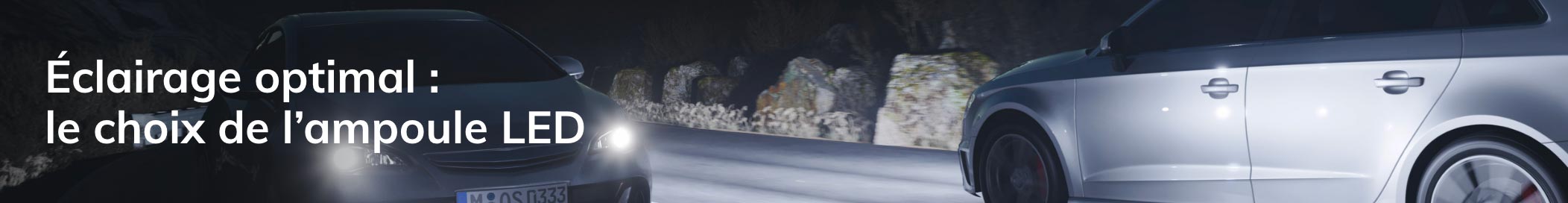 Ampoules LED homologuées pour voiture : H7, H4 - Norauto