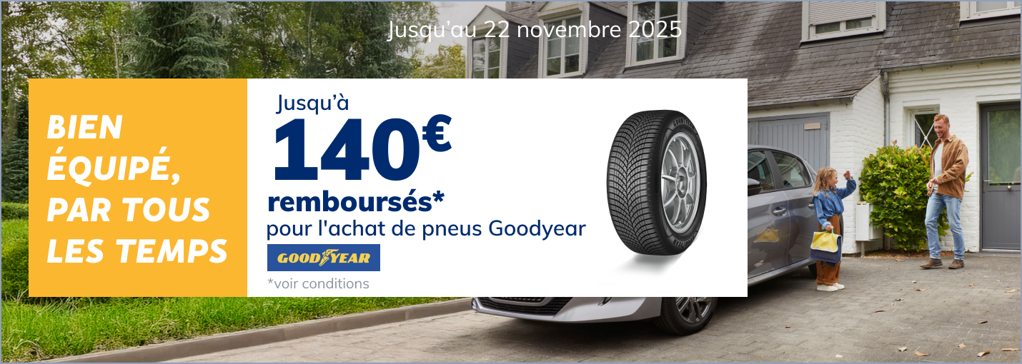 Pneu pour Renault Scenic III : Taille, Prix et Dimensions compatibles - Norauto